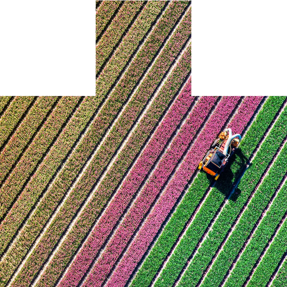 Golioth instant IoT cloud